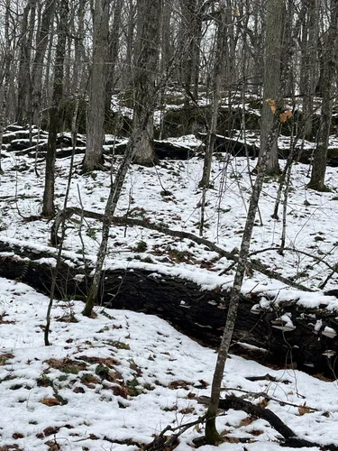 Best Hikes and Trails in McCormick Wilderness | AllTrails