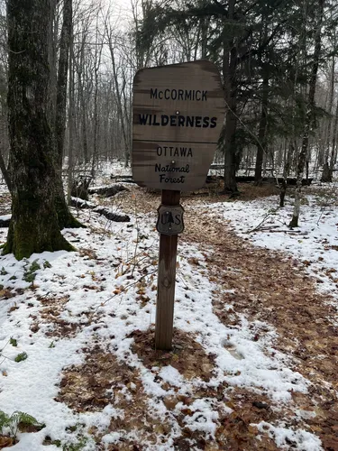 Best Hikes and Trails in McCormick Wilderness | AllTrails
