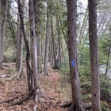 Little Traverse Lake, Michigan - 49 Reviews, Map | AllTrails