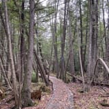 Little Traverse Lake, Michigan - 49 Reviews, Map | AllTrails