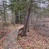 Little Traverse Lake, Michigan - 49 Reviews, Map | AllTrails