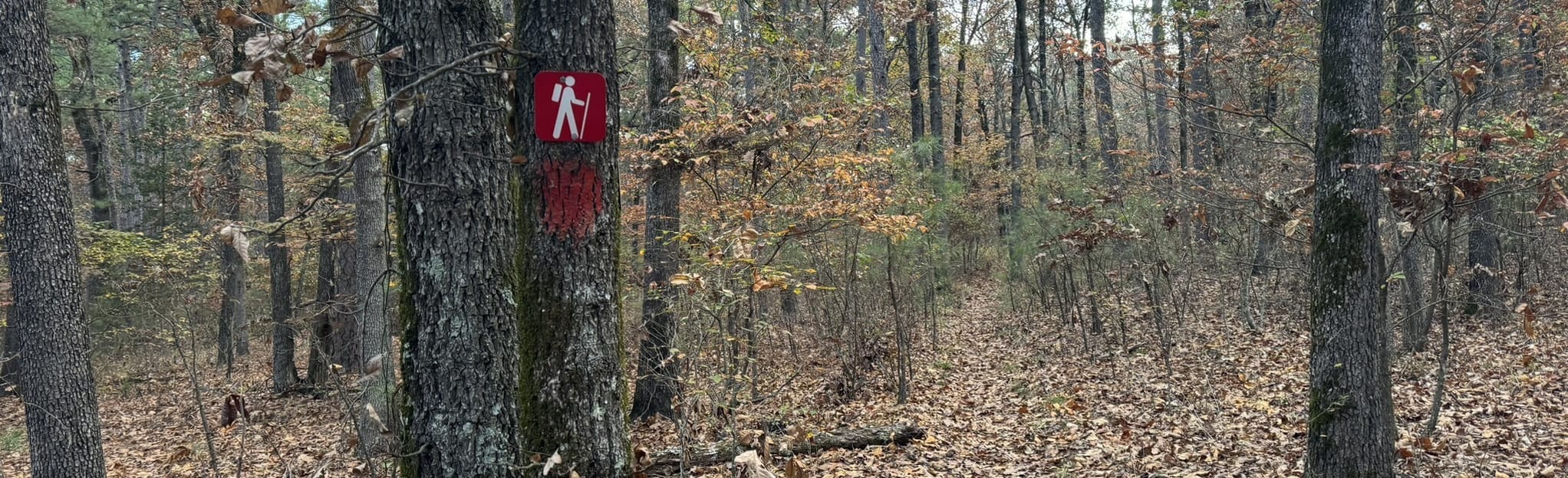 Coon Ridge Trail, Oklahoma - 287 Reviews, Map | AllTrails