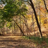 David J Culham Trail, Ontario, Canada - 1,303 Reviews, Map | AllTrails