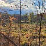 David J Culham Trail, Ontario, Canada - 1,303 Reviews, Map | AllTrails