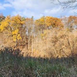 David J Culham Trail, Ontario, Canada - 1,303 Reviews, Map | AllTrails