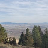 Kamiak Butte Trail, Washington - 766 Reviews, Map | AllTrails