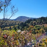 Sam's Knob and Little Sam Loop, North Carolina - 506 Reviews, Map ...