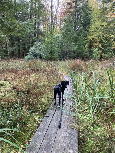 Best Hikes and Trails in Dyken Pond Environmental Education Center ...
