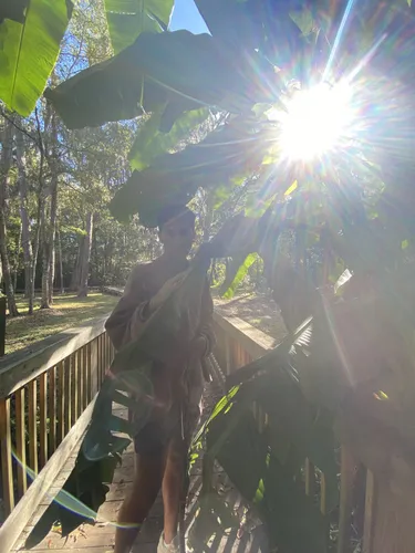 Best Hikes and Trails in Lake Alice Conservation Area | AllTrails