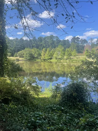 Best Hikes and Trails in Vines Botanical Garden | AllTrails
