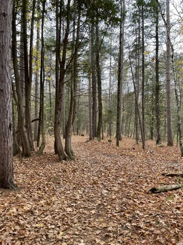 Best Hikes and Trails in Carleton Place | AllTrails