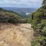 Verna Dunshee Trail and Plank Trail at Mount Tam East Peak, California ...