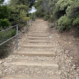 Verna Dunshee Trail and Plank Trail at Mount Tam East Peak, California ...