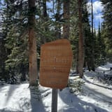 Mitchell Lake Trail, Colorado - 582 Reviews, Map | AllTrails