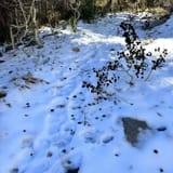 Pittsburg Lake Trail, Utah - 263 Reviews, Map | AllTrails