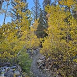 Piute Pass Trail, California - 245 Reviews, Map | AllTrails
