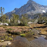 Piute Pass Trail, California - 324 Reviews, Map | AllTrails
