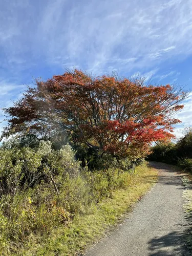 Best Hikes and Trails in Ninigret National Wildlife Refuge | AllTrails
