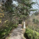 Agawa Canyon Park, Ontario, Canada - 48 Reviews, Map | AllTrails
