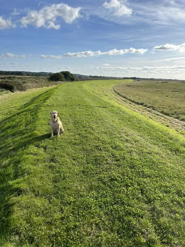 Best Hikes and Trails in RSPB Snettisham | AllTrails