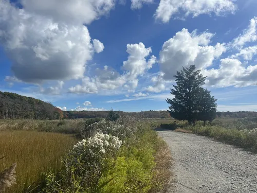 Best Hikes and Trails in Barn Island Wildlife Management Area | AllTrails