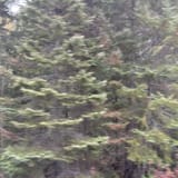 Agawa Canyon Park, Ontario, Canada - 27 Reviews, Map | AllTrails