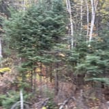 Agawa Canyon Park, Ontario, Canada - 27 Reviews, Map | AllTrails