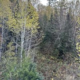 Agawa Canyon Park, Ontario, Canada - 27 Reviews, Map | AllTrails