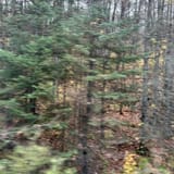 Agawa Canyon Park, Ontario, Canada - 27 Reviews, Map | AllTrails