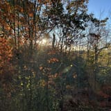 Agawa Canyon Park, Ontario, Canada - 27 Reviews, Map | AllTrails