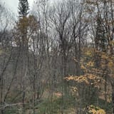 Agawa Canyon Park, Ontario, Canada - 27 Reviews, Map | AllTrails