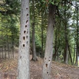 Presque Isle Park Loop, Michigan - 1,231 Reviews, Map | AllTrails