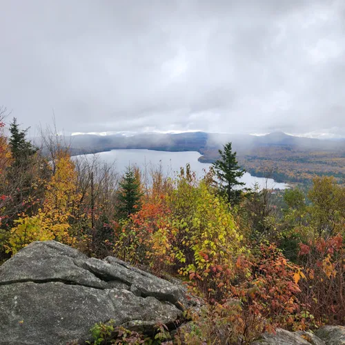 Best Forest Trails in Norton | AllTrails