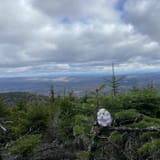 Haystack Mountain Trail, Vermont - 1,877 Reviews, Map | AllTrails