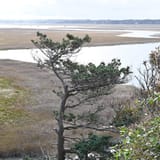 Nauset Marsh and Nauset Bike Trail , Massachusetts - 909 Reviews, Map ...