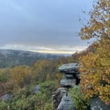 Wolf Rocks Trail, Pennsylvania - 1,220 Reviews, Map | AllTrails