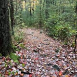 Wolf Rocks Trail, Pennsylvania - 1,220 Reviews, Map | AllTrails