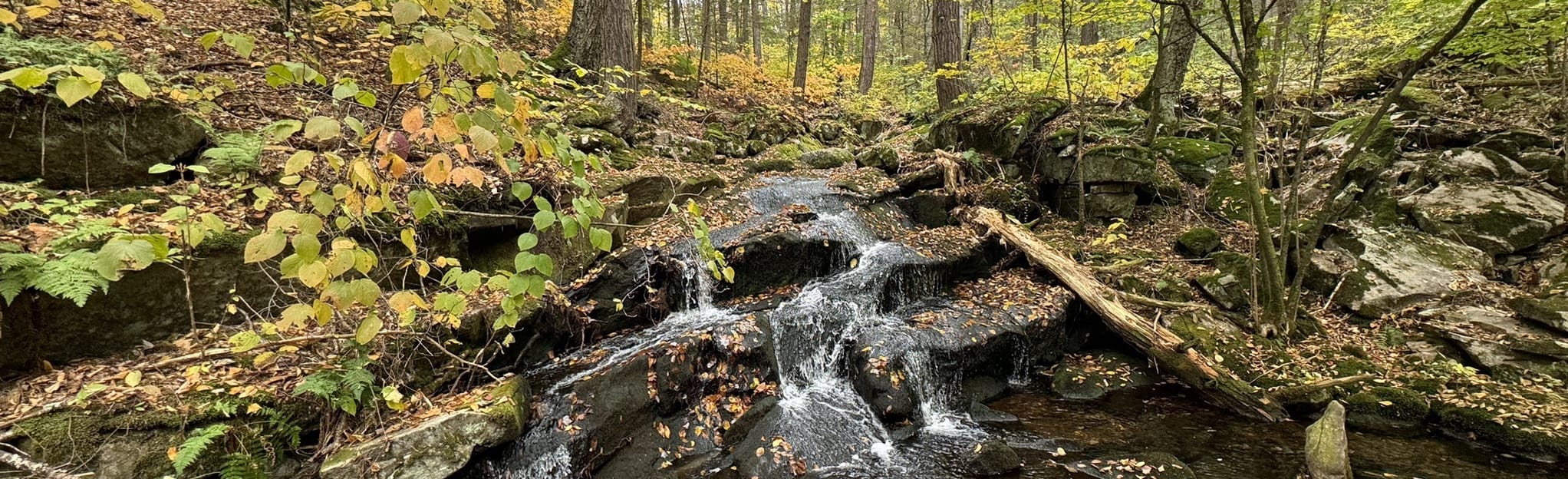 Falls Brook Falls, Connecticut - 283 Reviews, Map | AllTrails
