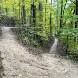 Spring Hollow Trail, Ohio - 780 Reviews, Map | AllTrails