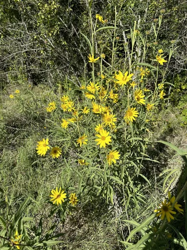 Best Hikes and Trails in Bandera | AllTrails