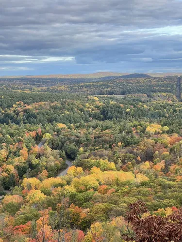 2023 Best Wild Flowers Trails in Calabogie | AllTrails