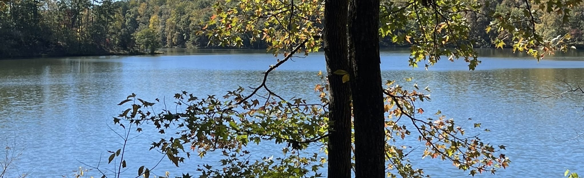 Dam Road, Issaqueena, Rocky and Collarbone Trail, South Carolina ...
