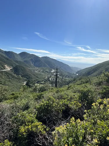 10 Best Trails and Hikes in San Bernardino | AllTrails