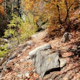 Lisa Falls Trail, Utah - 1,420 Reviews, Map | AllTrails