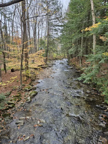 Best Hikes and Trails in Chase Brook Town Forest. | AllTrails