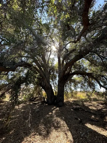 Best Hikes and Trails in Western Riverside County Regional Conservation ...