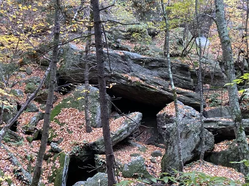 Best Hikes and Trails in Bears Den Natural Area | AllTrails