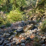 Ritchey Canyon Trail and Coyote Peak, California - 1,049 Reviews, Map ...