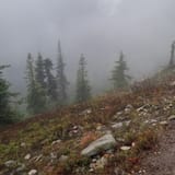 Mount Sawyer via Tonga Ridge Trail, Washington - 355 Reviews, Map ...