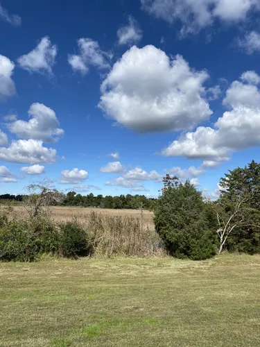 Best Hikes and Trails in Bells Mill Park | AllTrails